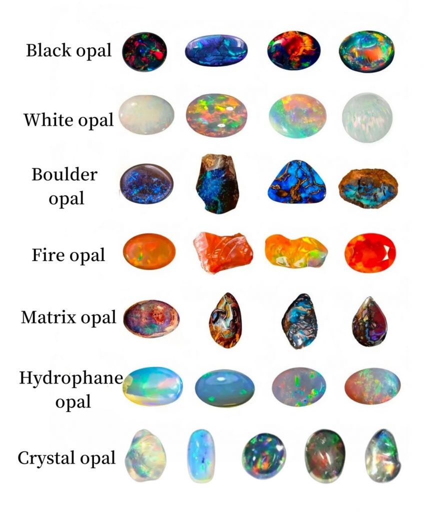 Let's get to know “OPAL” - jinyi