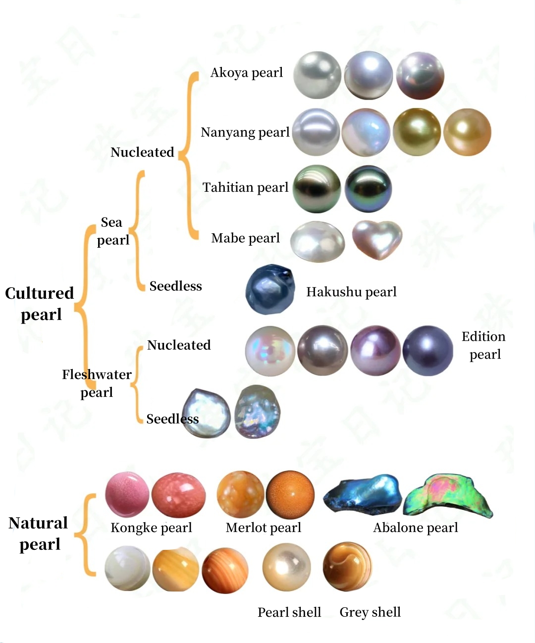 Let's Get To Know “Pearl” - jinyi